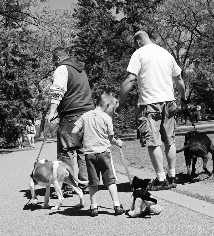 Fitting In – Louis Fine Studios